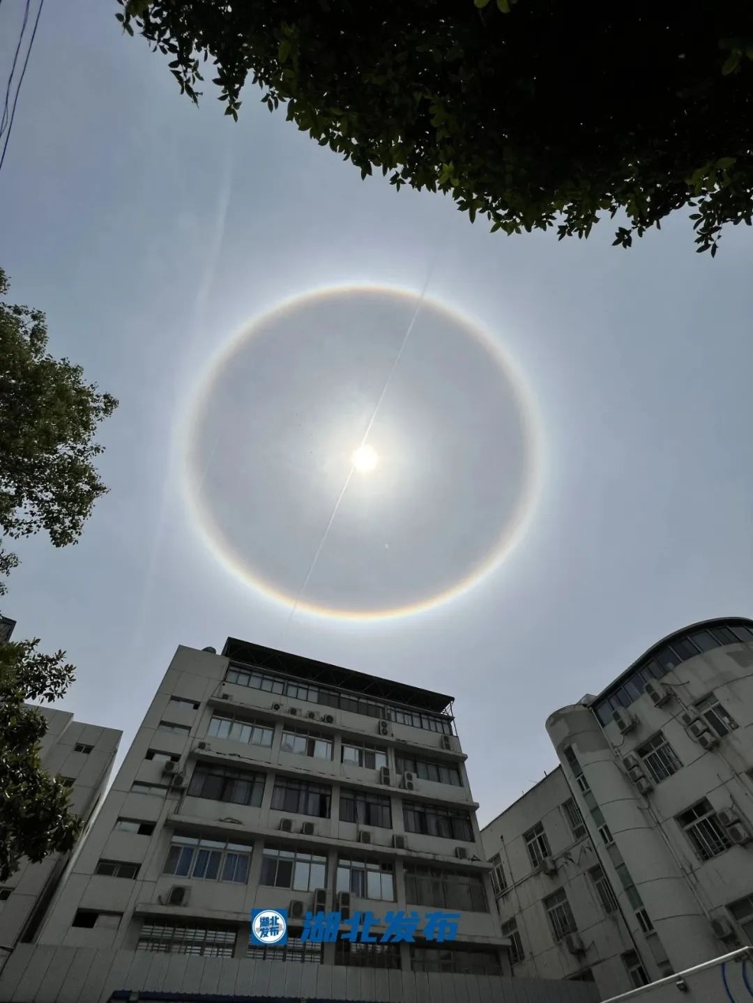 so gorgeous! Astronomical spectacle solar halo appeared in Wuhan - iMedia