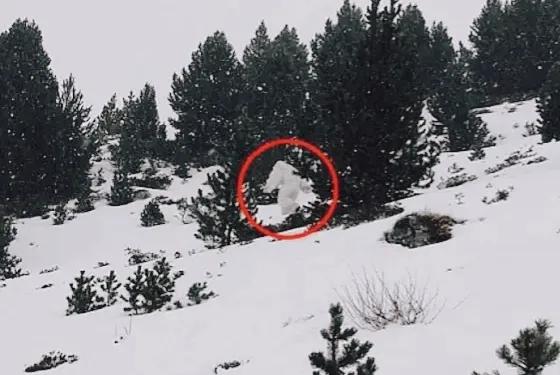 Where did the Yeti in the Himalayas come from? Are they humans or apes ...