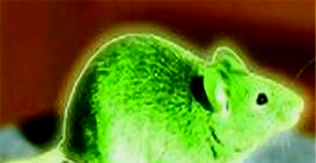 China's No. 1 Espionage Case: Foreign Spies Steal Atomic Bomb Secrets ...