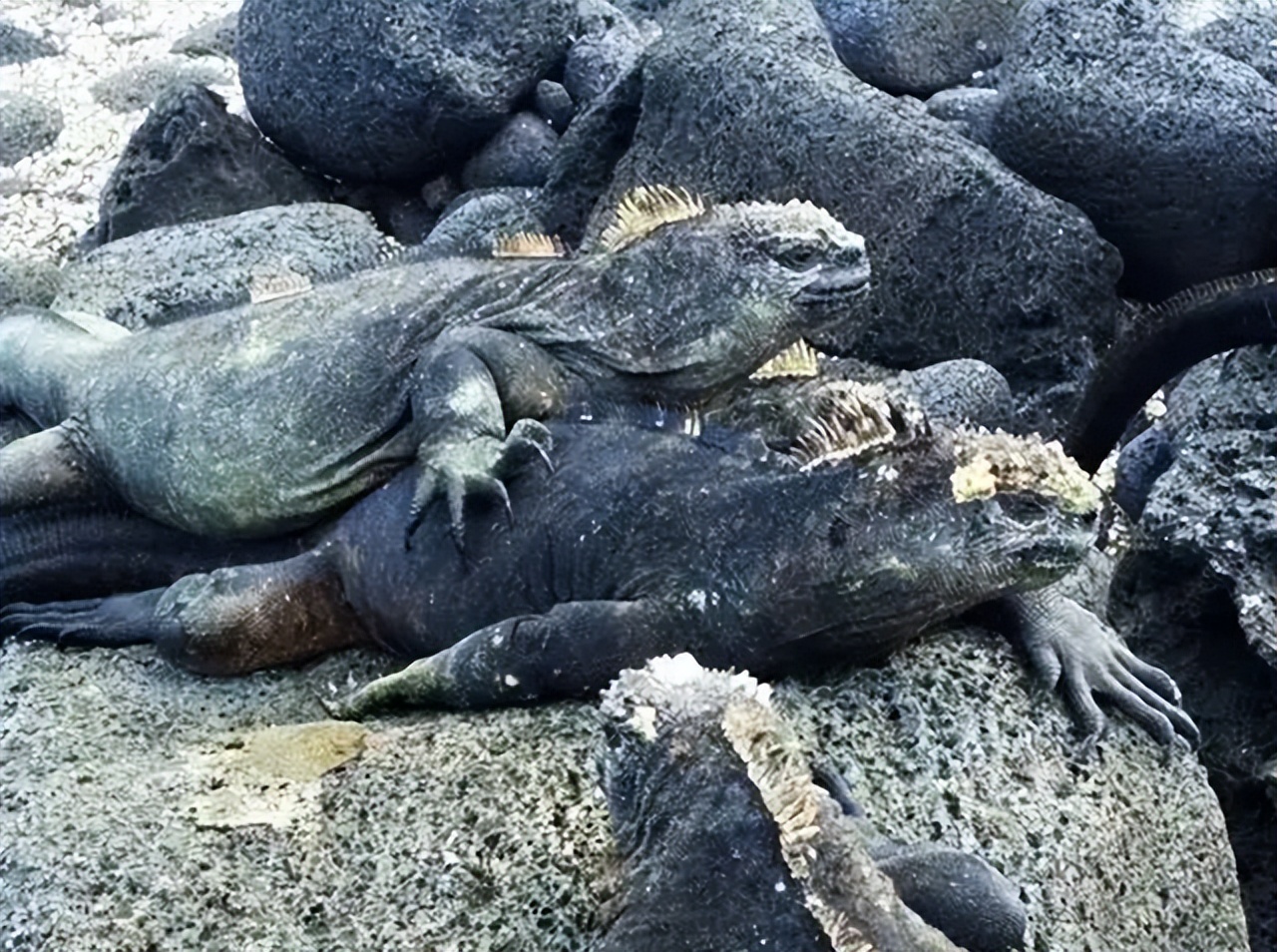 Will the ocean really dry up?How long can humans survive if the oceans ...