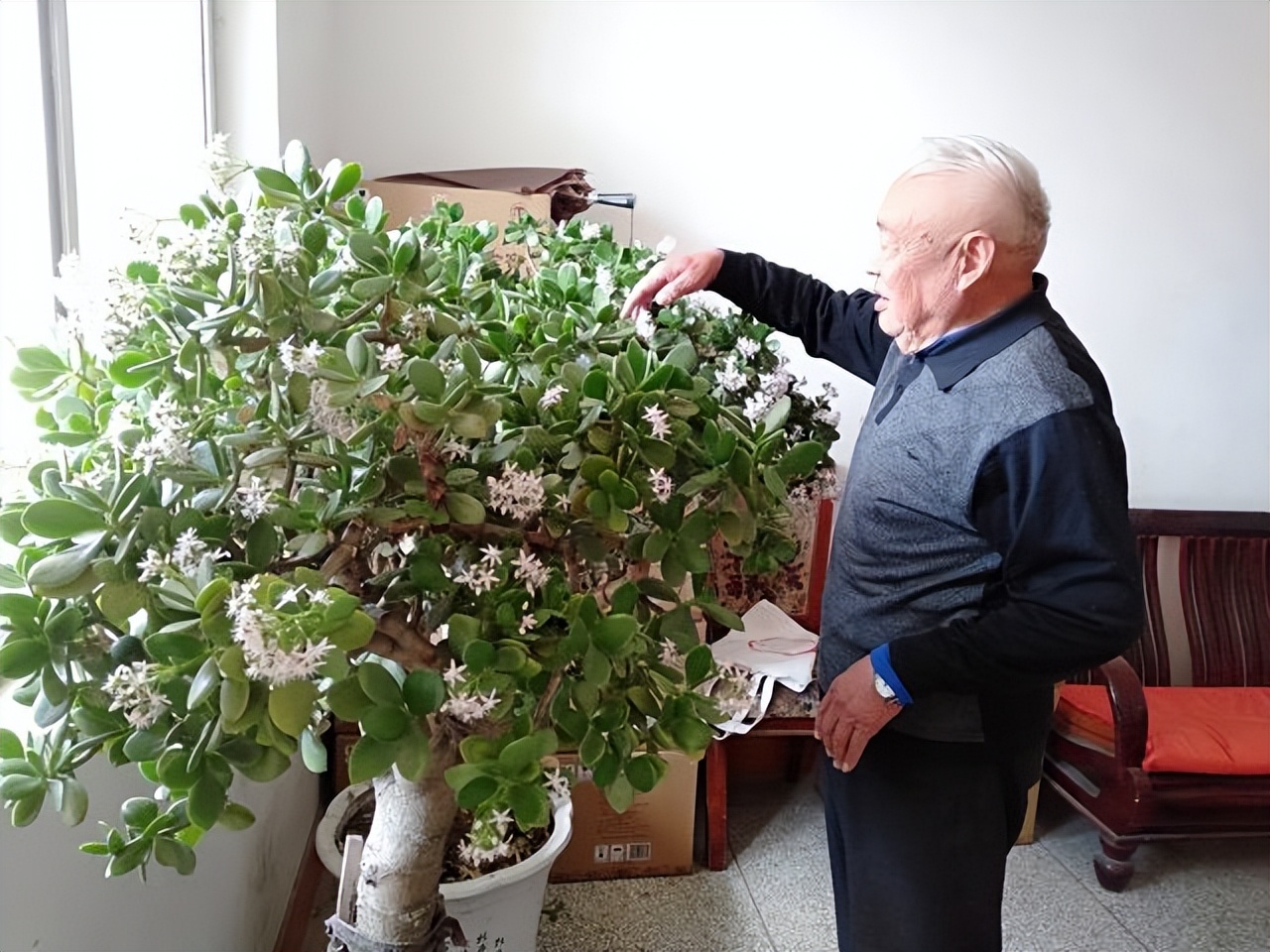5 kinds of "wealthy flowers", "poor life" since childhood, "breeding in ...