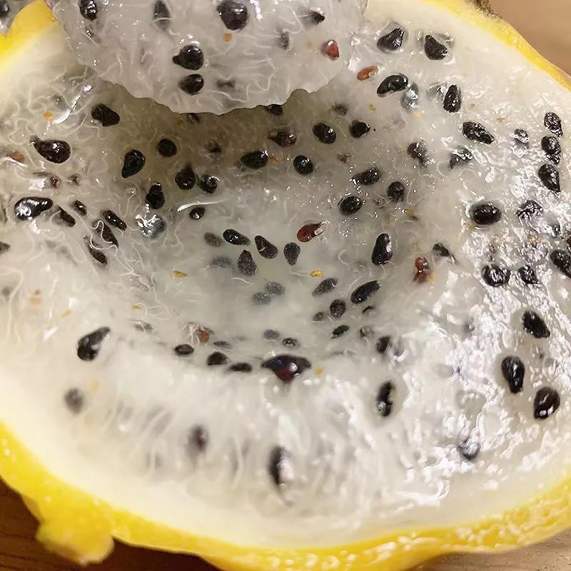 Have you ever eaten a Rolls Royce among fruits? - iNEWS