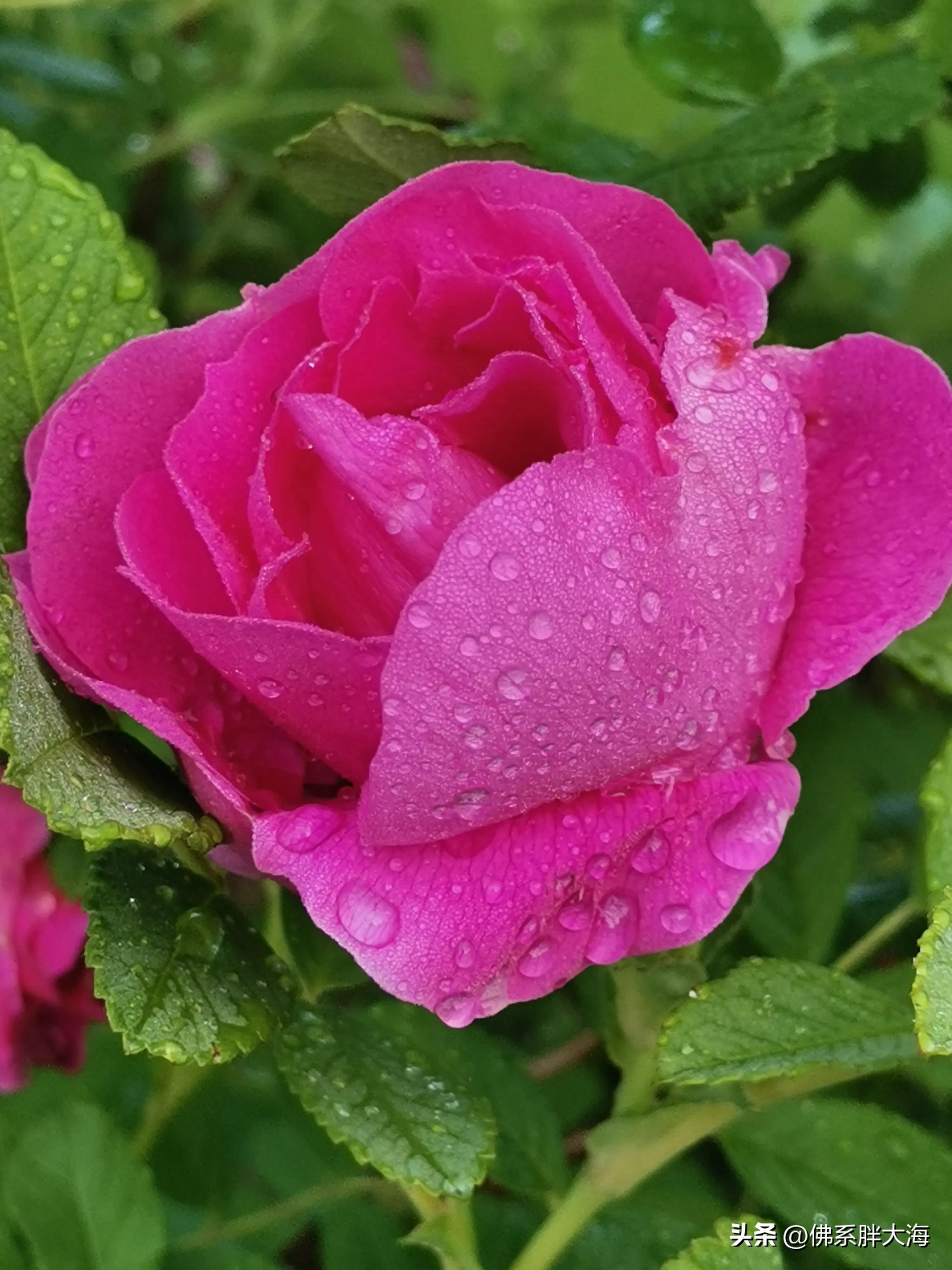 Wormhole Tablets: 31 of 74 Letters to Teenagers - Heart-throb reading ...