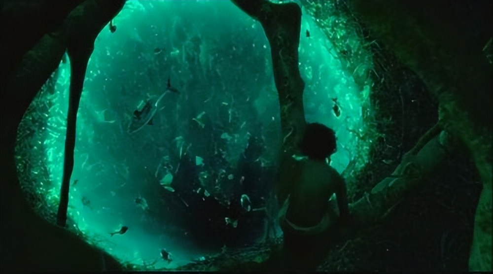 "Fantasy Drifting of Boy Pi": How to use color language to reflect the ...