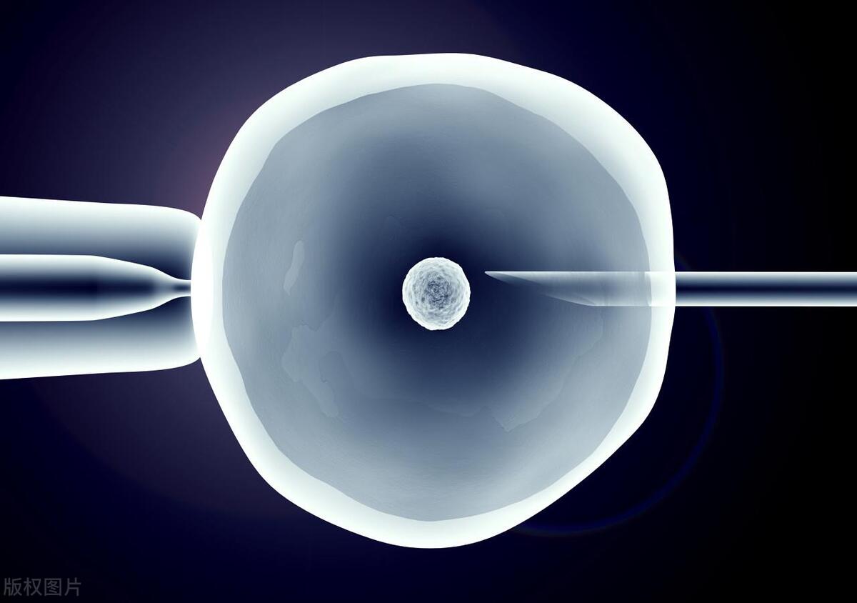 Which is better, test tube or natural pregnancy? - iNEWS