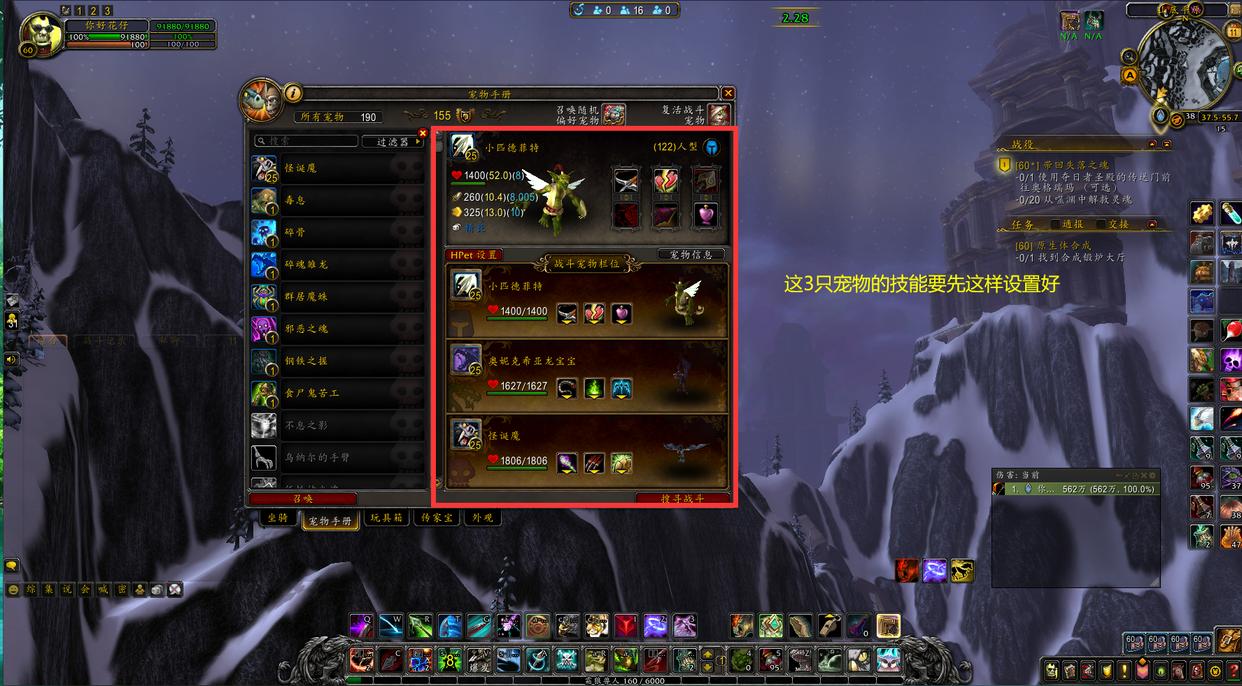 World of Warcraft: The most efficient way for pets to fight Algalon ...