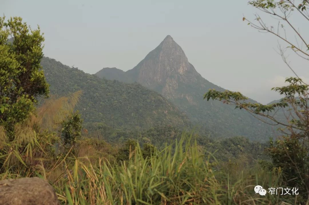 Zhou Mo: The questioning of every kind of wood has just begun. Hua Li ...