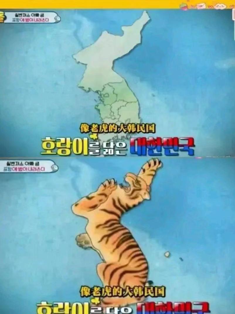 Koreans say their land looks like a tiger, netizens: I look like a ...
