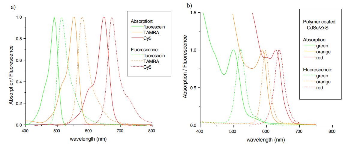 Application of quantum dots in labeling cells - iNEWS