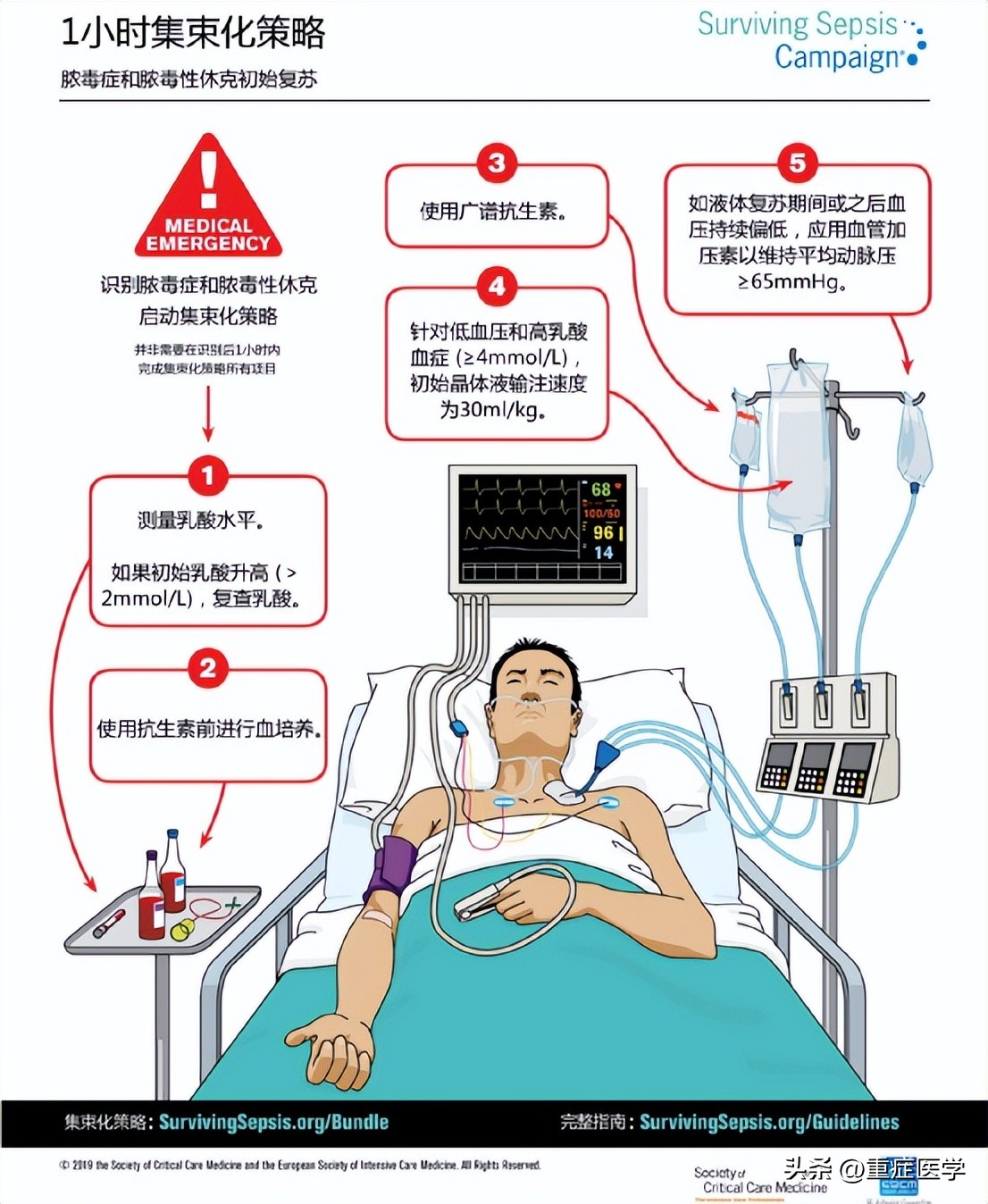 1 hour bundle therapy for sepsis - iMedia