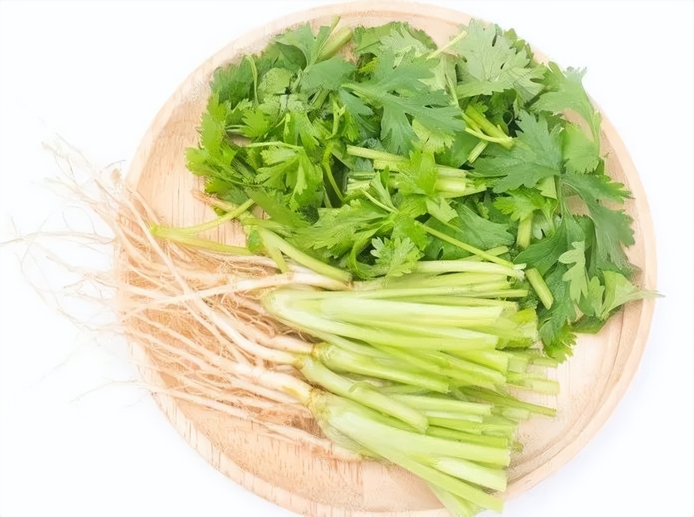 Put coriander in a jar, it won't go bad after a year, it's really ...