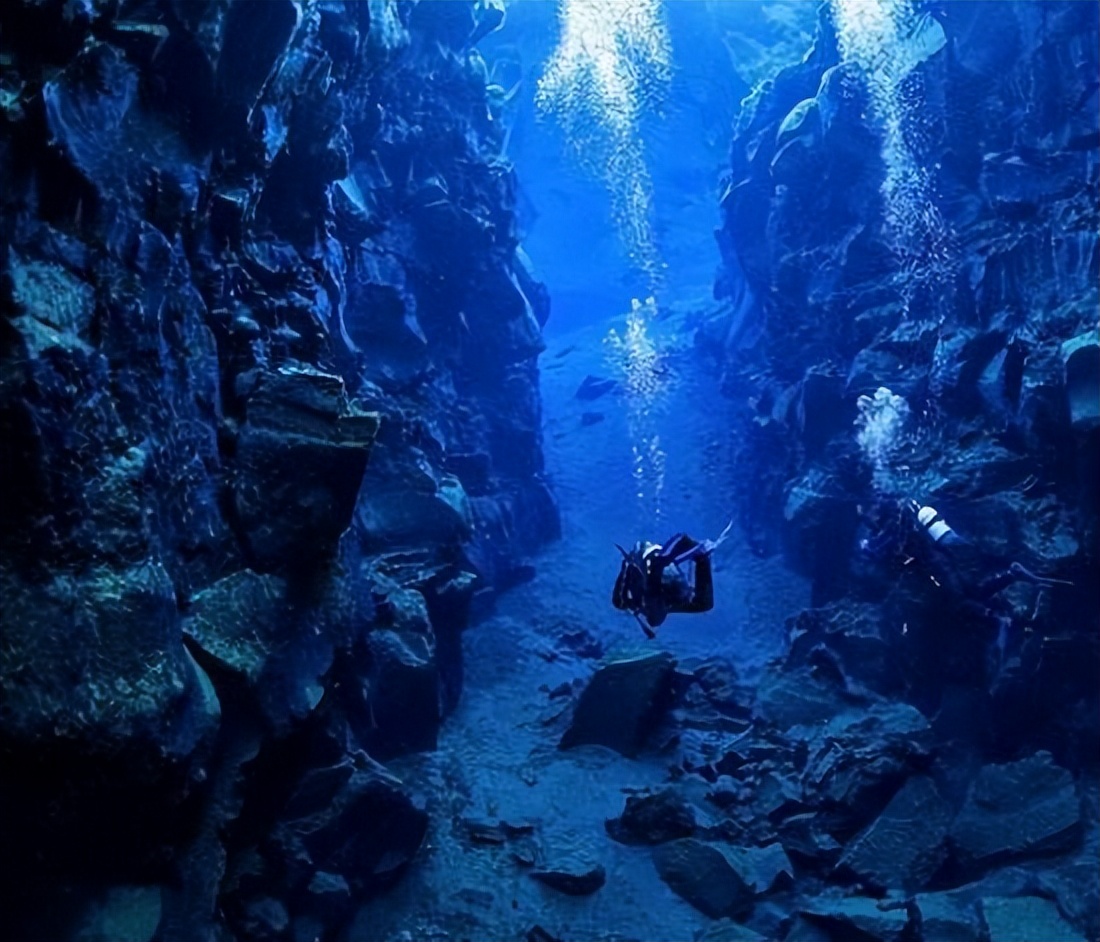 Creatures of the deepest sea and different depths - iNEWS