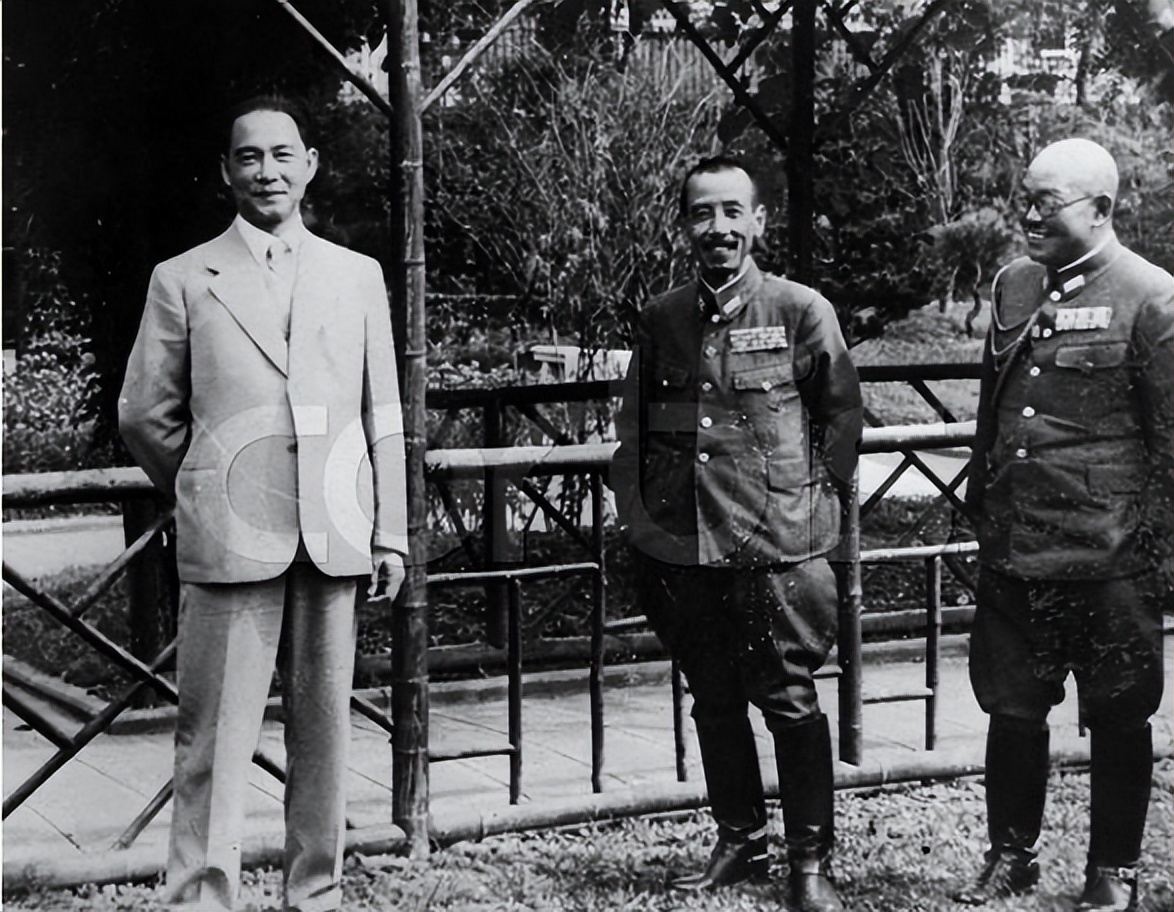 Wang Jingwei's wife, Chen Bijun, was arrested, did not recognize her ...