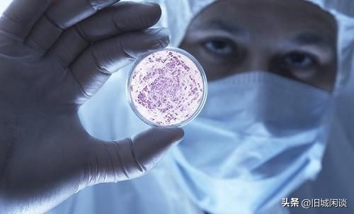 Demystifying America's Secret Bacteria Experiments - iNEWS