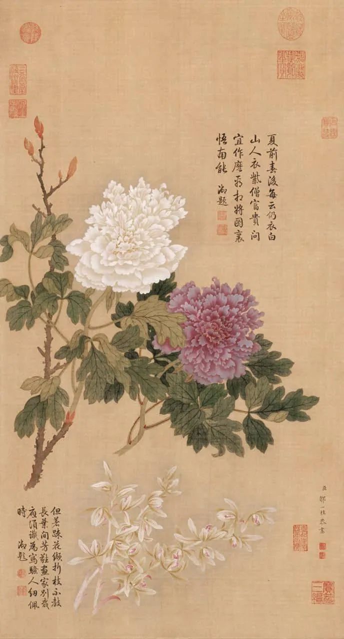 Zhang Jianjing: The Luoyi Painter's Peony Is Prosperous - iNEWS