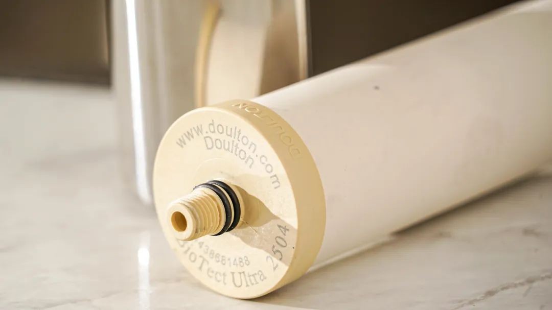 The Past and Present of "Diatoms": The Miraculous Journey of Mineral ...