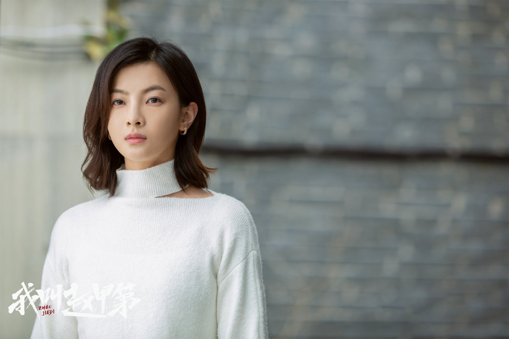 The cool drama "My Name is Zhao Jiadi" ended. Which of Jiadi's ...