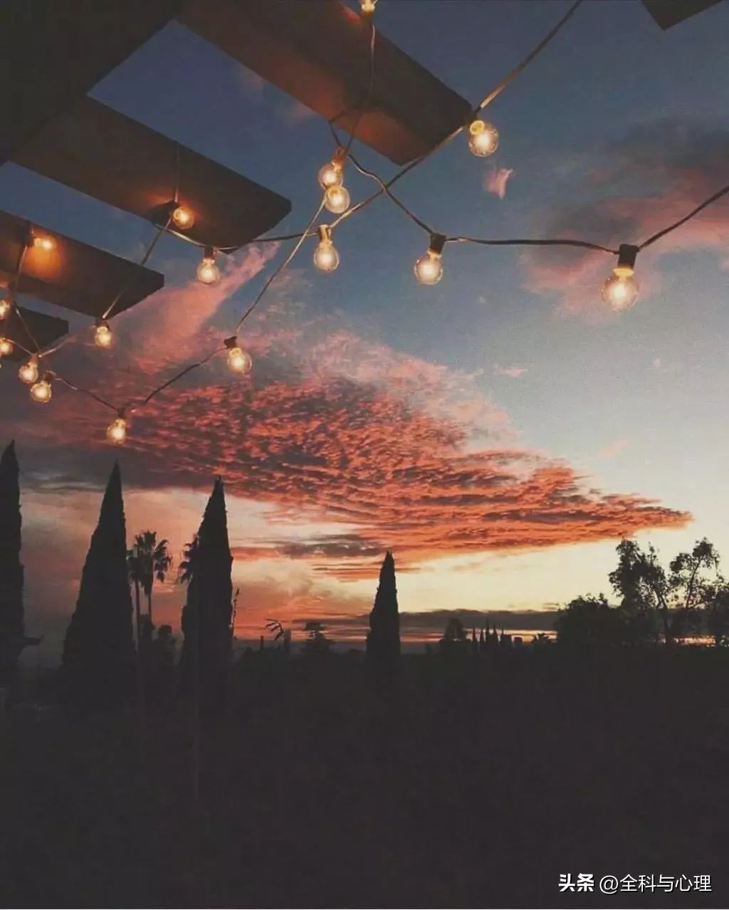 Sentences of life perception classic sentences sentence piercing - iNEWS