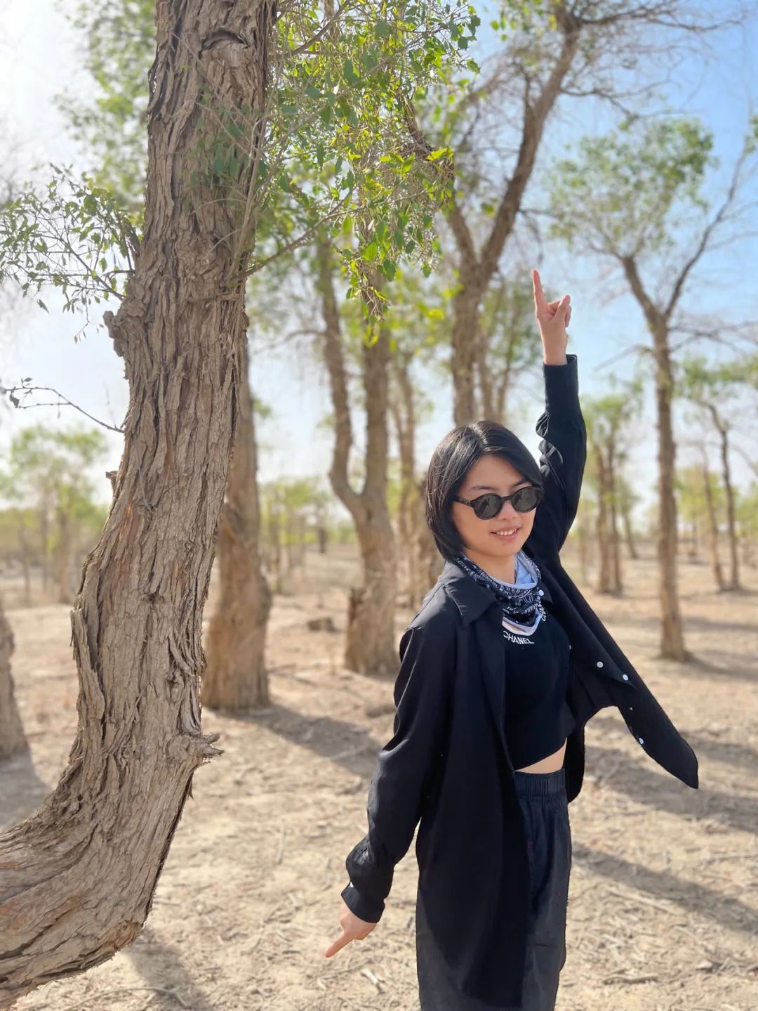 20 sentences about "travel", let's take a trip as soon as we say it ...