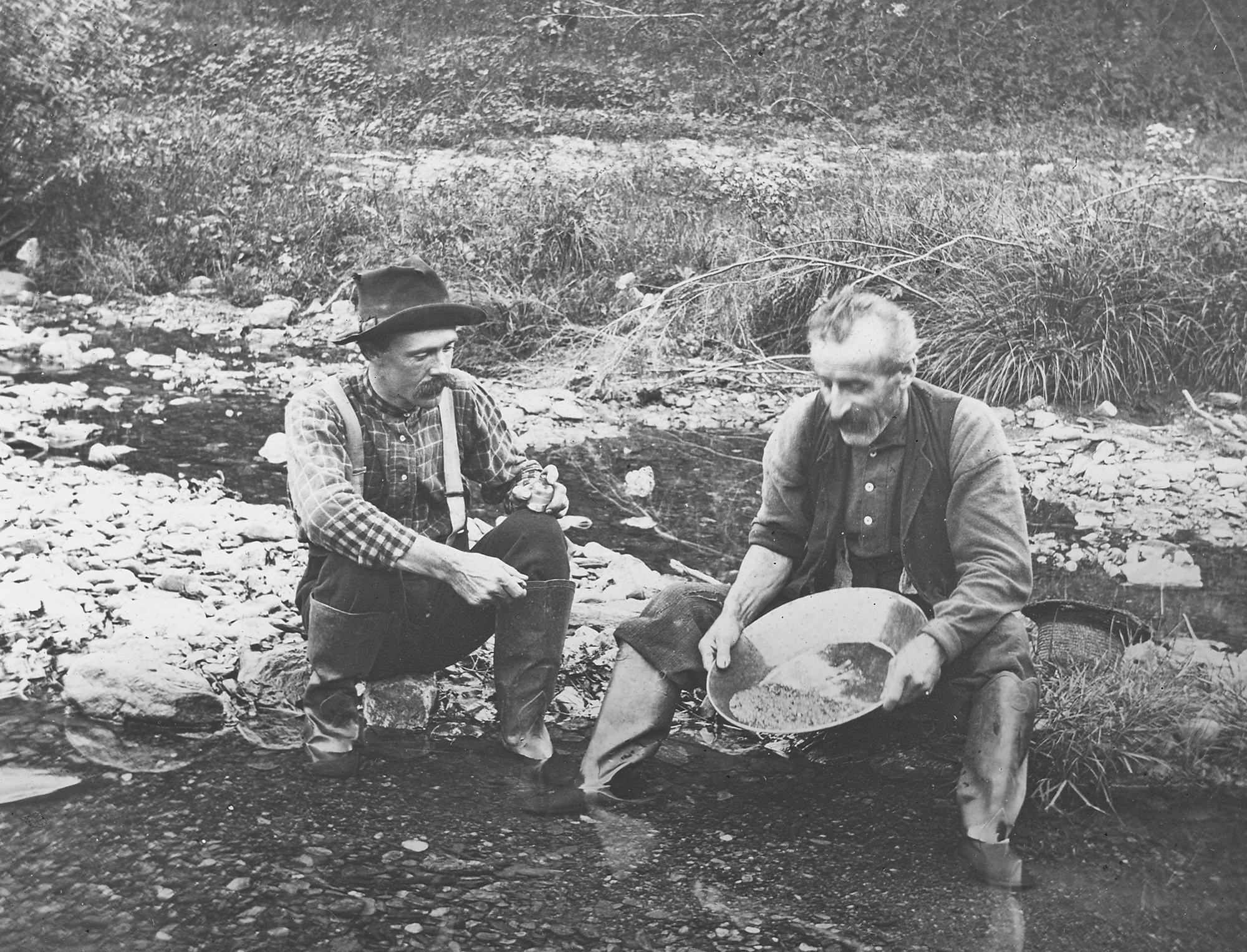 What did you eat during the Gold Rush in America?15 Weird Foods From ...