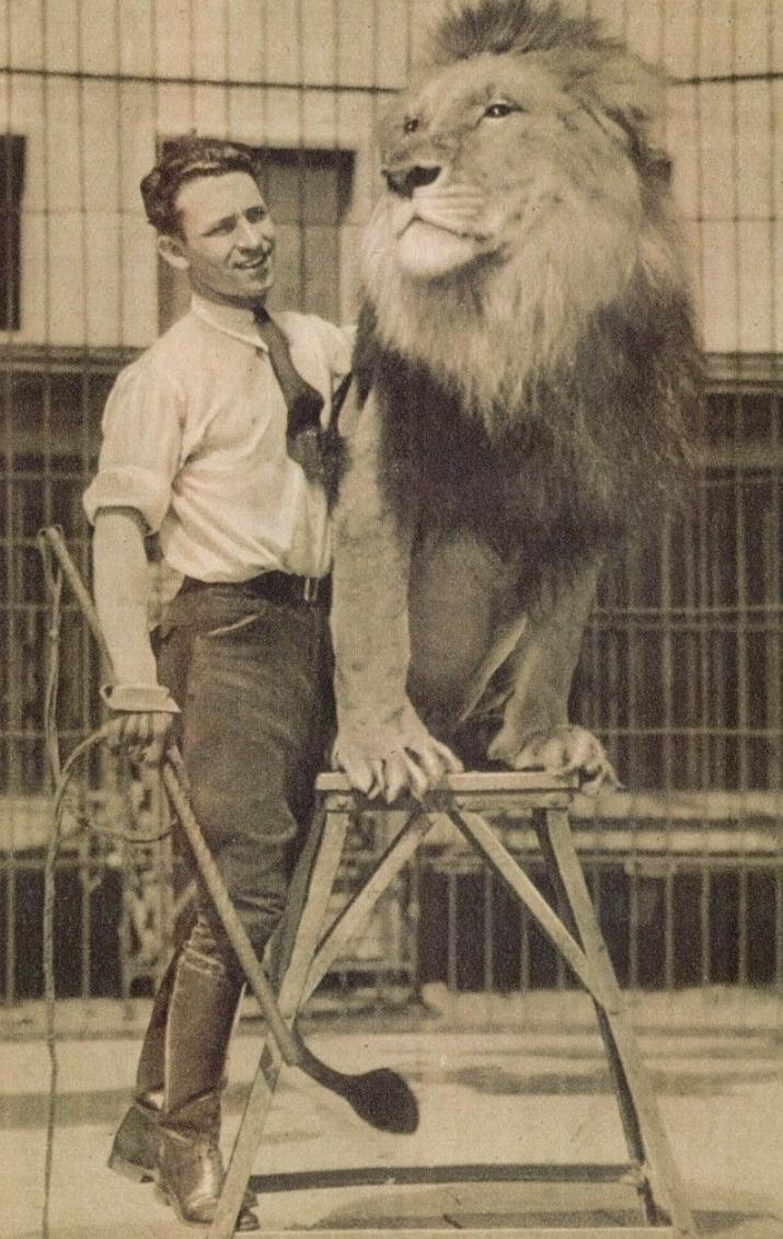 The animal trainer besieged 5 tigers with 20 lions. After the tiger ...