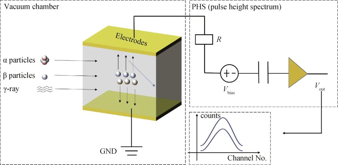 Research progress of CVD synthetic diamond nuclear radiation detector ...