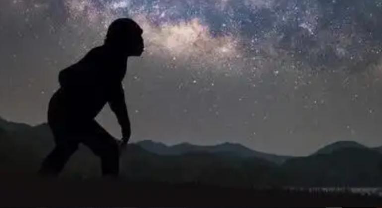 Why do humans walk upright? - iNEWS