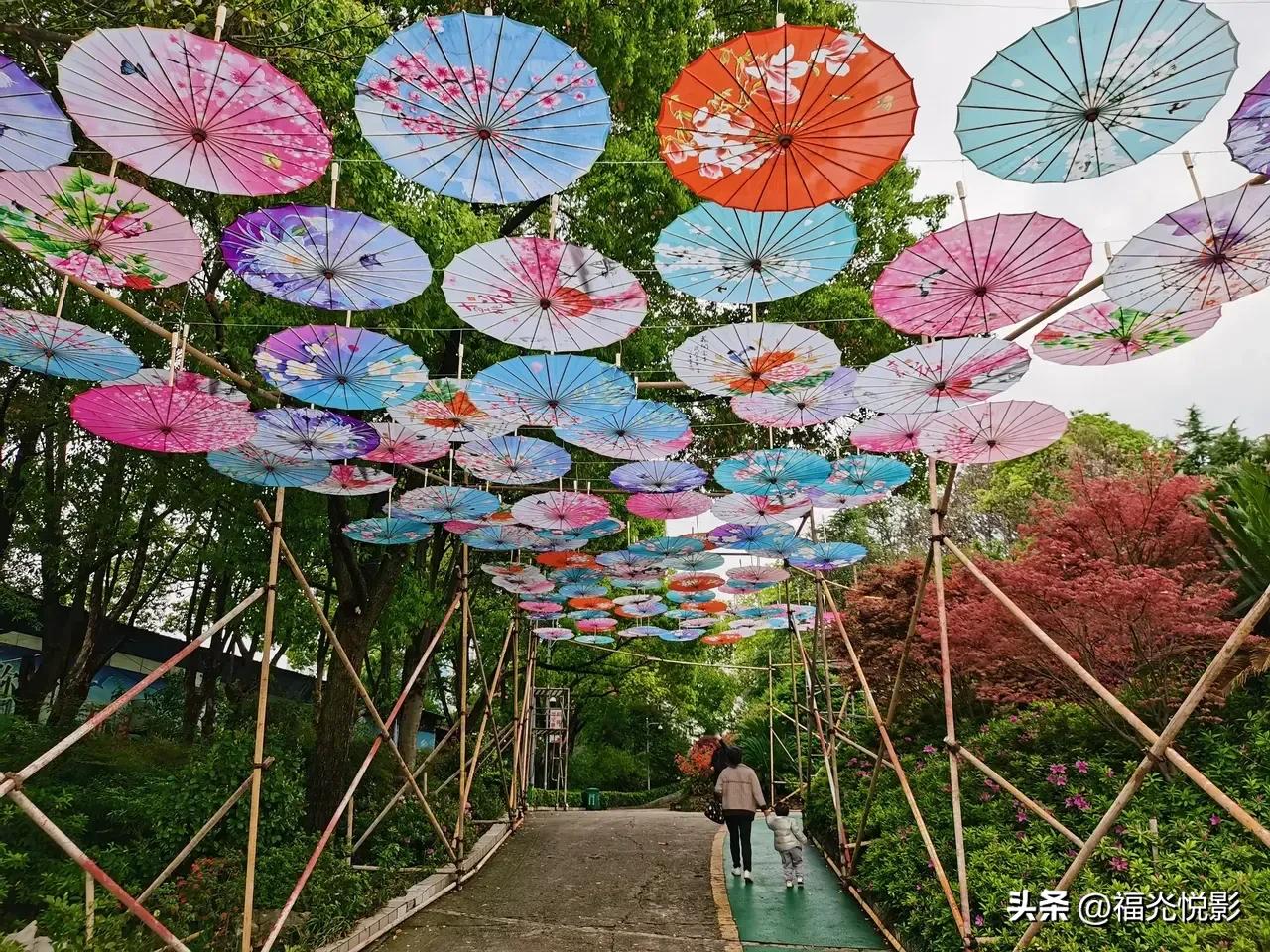 Shima Flower Show, a beautiful city - iNEWS