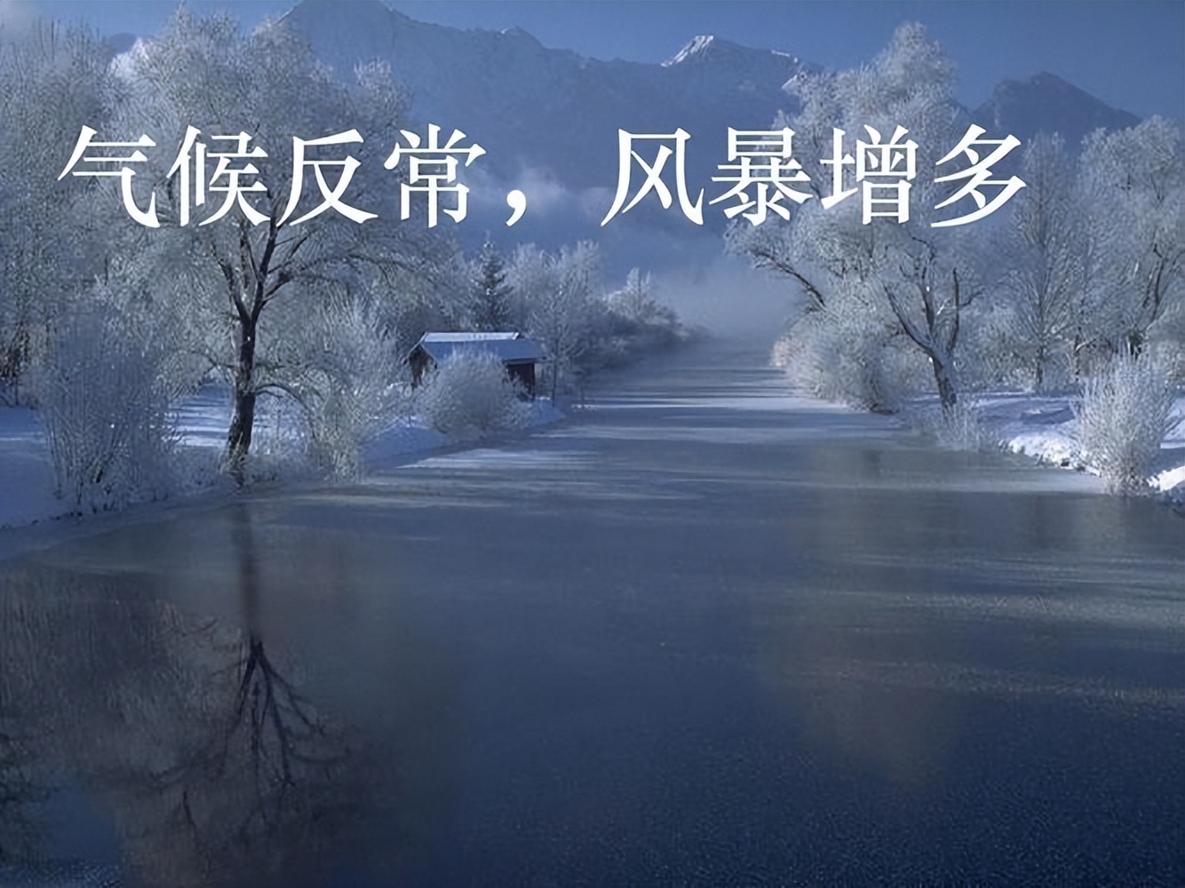 Northeast climate abnormal? Stand against global warming! It may be ...