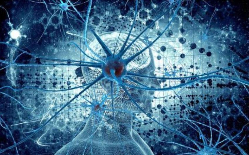 Why does the brain "delete" memories from before the age of 3? What ...