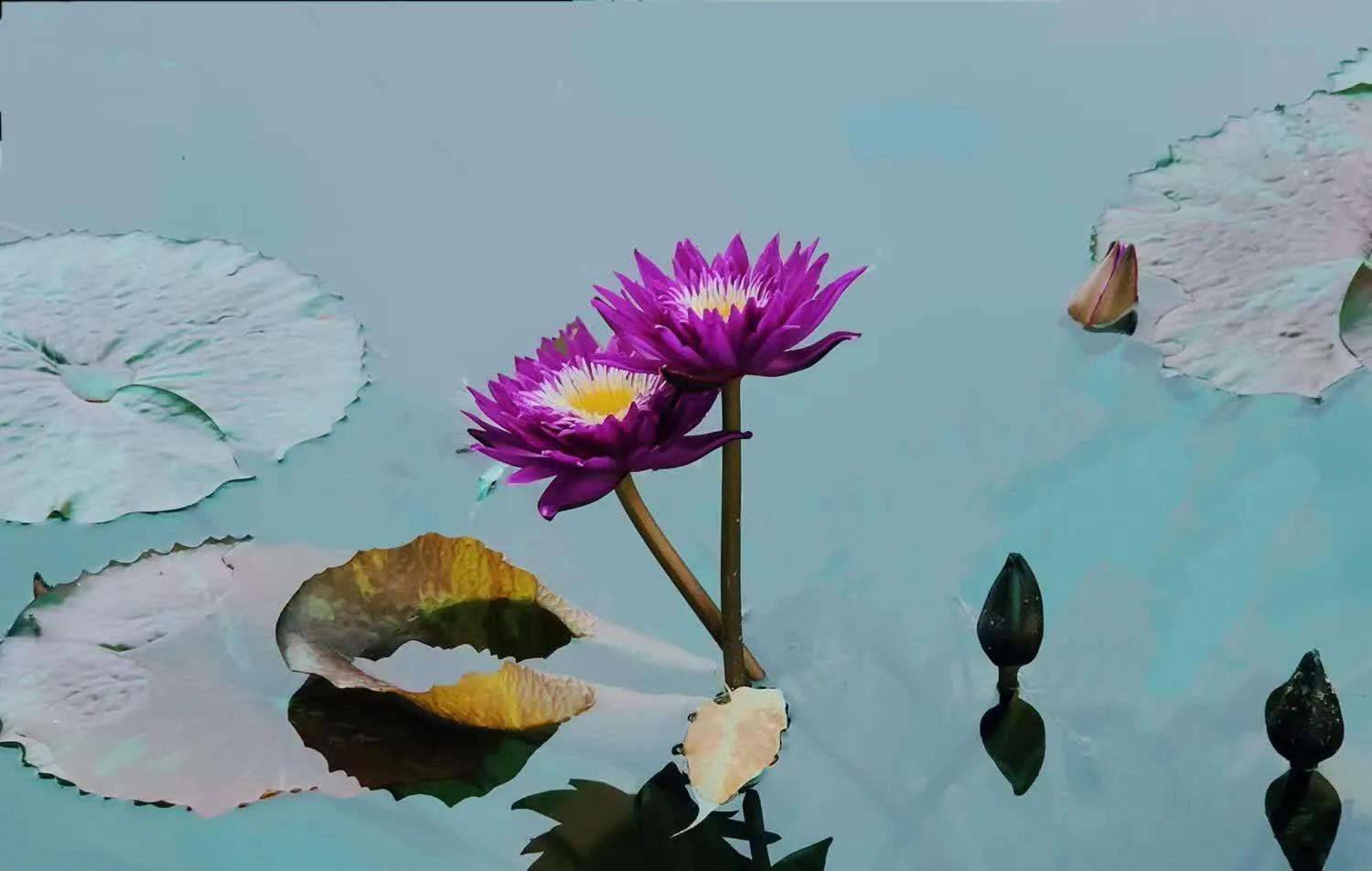 Six Rhythm Poems / Years Leaving Fragrance and Chanting Summer Flowers ...