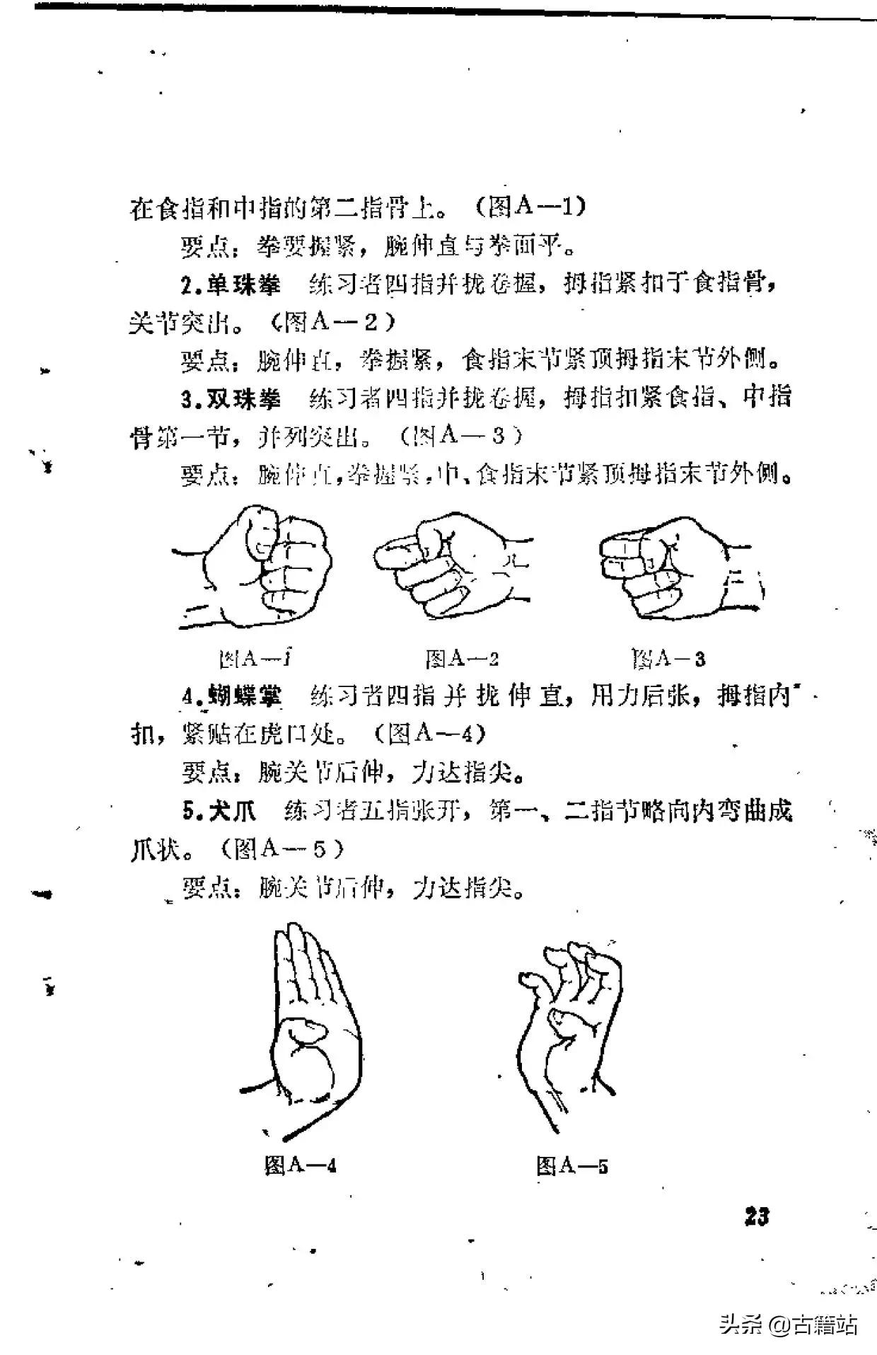 Chinese Martial Arts: Shaolin Dog Boxing Teaching - iNEWS