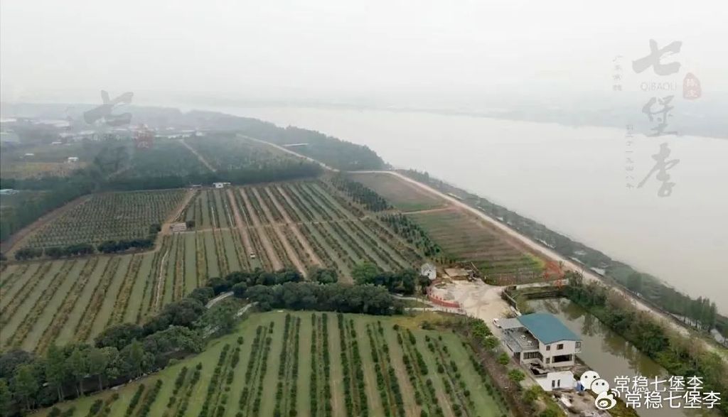"Qibao Li", a master of Chinese studies, has so many scholars that even ...