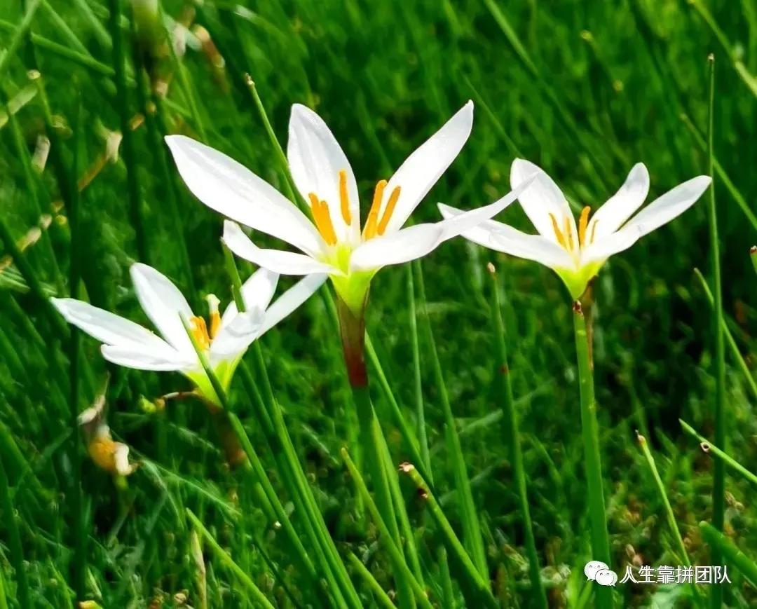 《建築室內用膩子(JG/T 298-2010)》 - 資訊咖