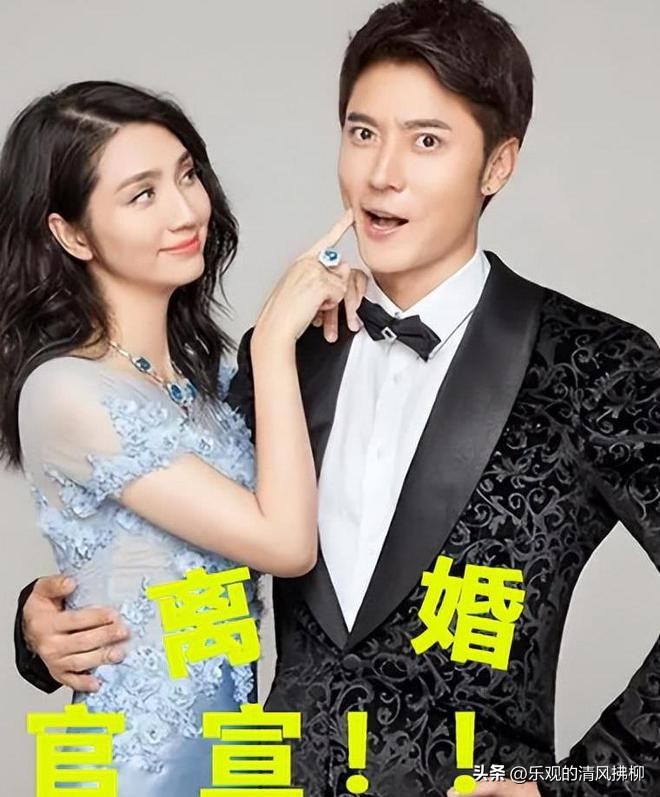 Hong Xin and Zhang Danfeng officially announced their divorce. Behind the high divorce rate of ...