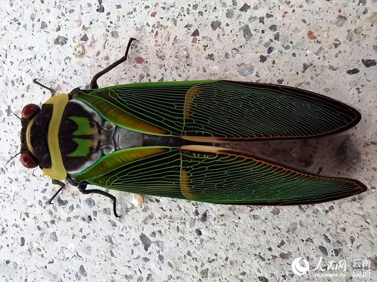 I don't know how they can be so beautiful in spring and autumn. Check ...