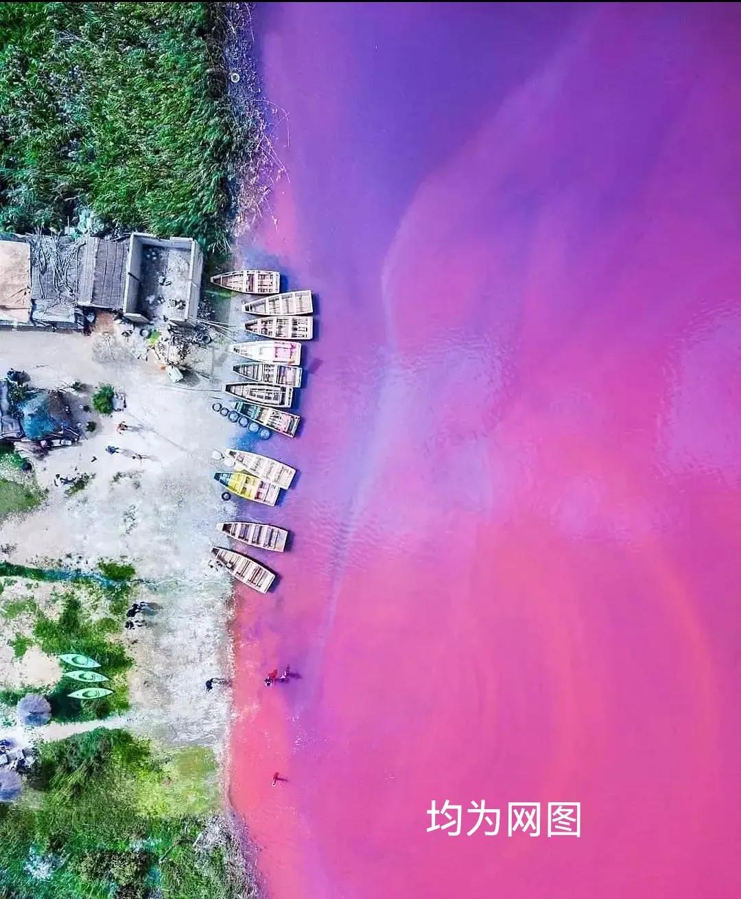 Romance in the Desert - Rose Lake - iNEWS