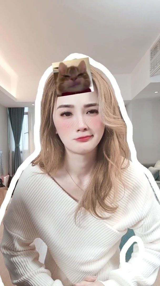 Twins fancy cat fighting show cute Gillian was praised for the real ...