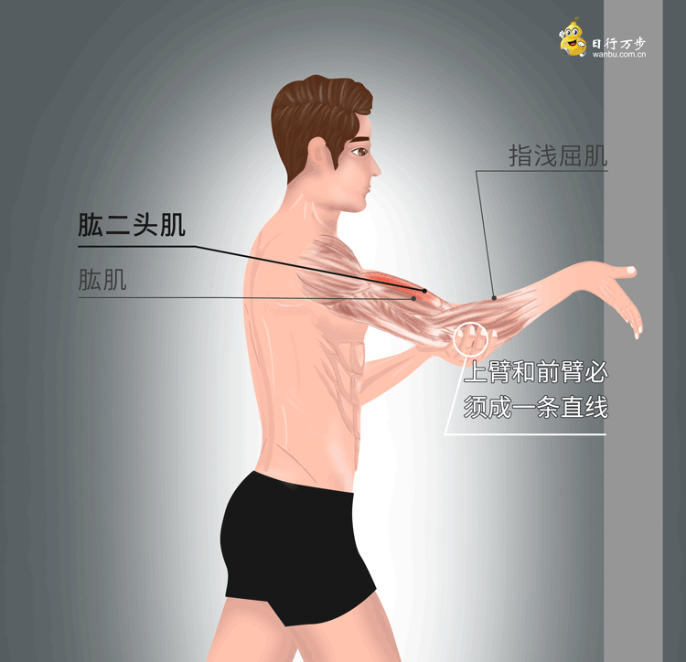 Tighten the arm lines, get rid of "bye bye meat", just do this - iNEWS