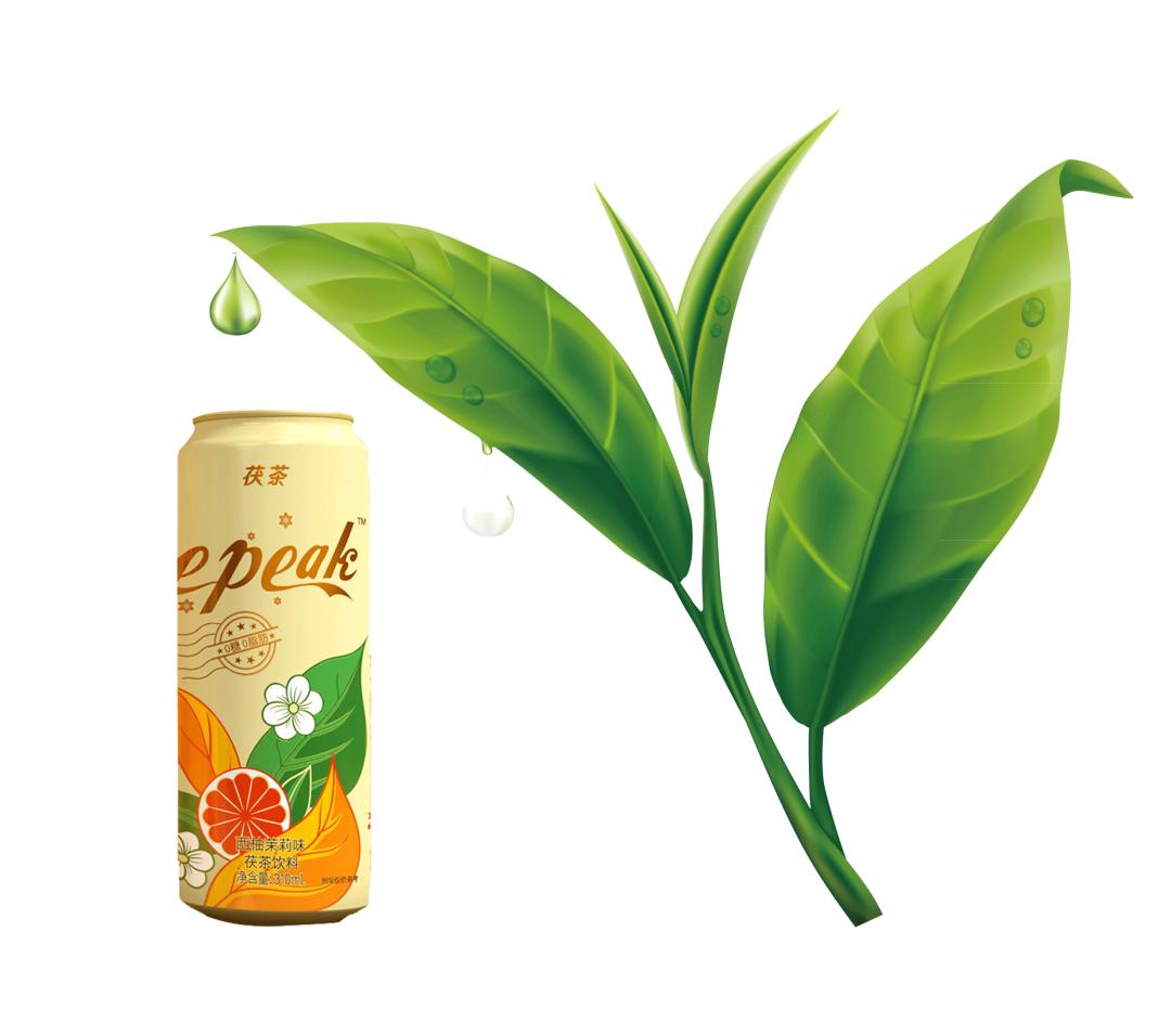 Taste Bingfeng Fu tea and explore Chinese tea culture - iNEWS