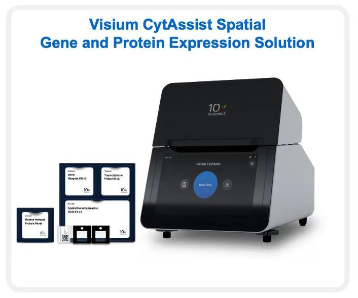 10x Genomics Visium CytAssist can realize transcriptome + protein co ...