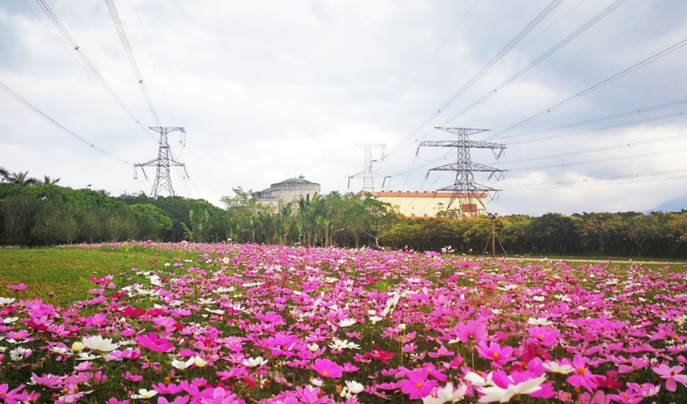 Demystifying the most beautiful nuclear power plant in China (Series 1 ...