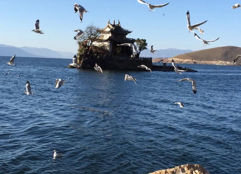 Feel the wind in fate, how to play in Erhai Lake - iNEWS