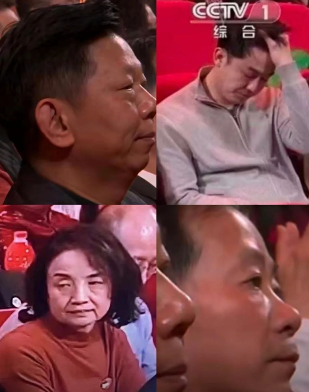 The 5 amateurs who steal the spotlight in the Spring Festival Gala: the ...