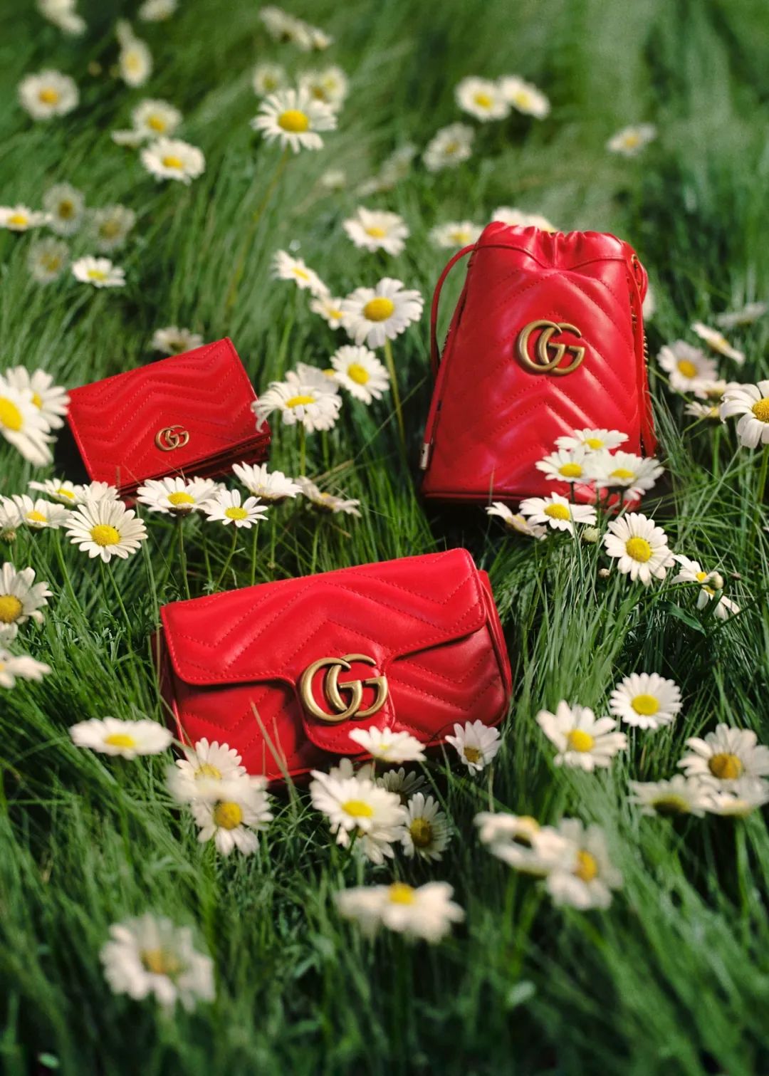 GUCCI Valentine's Day Special Series Advertising Blockbuster - iNEWS