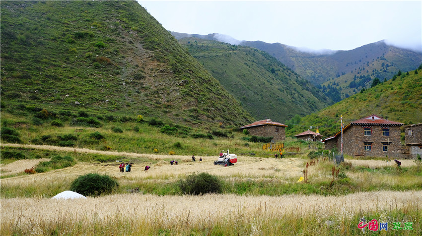 "Abandoned land" has become "living asset", the secret realm of Goluo ...