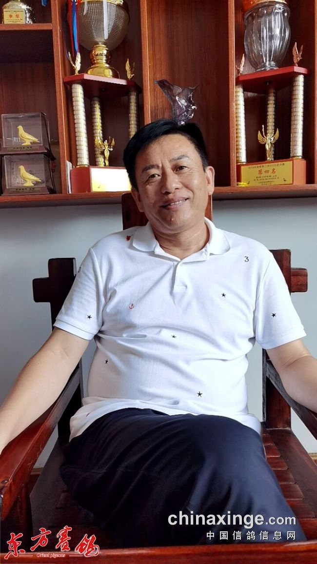 Flying two one-loft ace pigeon champions in one year, Shanghai famous ...