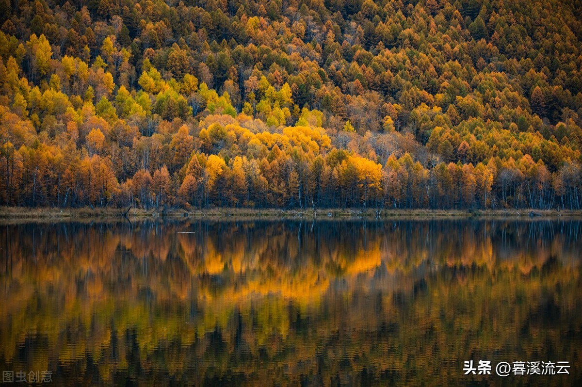 The autumn rhyme in 20 ancient poems is beautiful to the extreme. - iNEWS