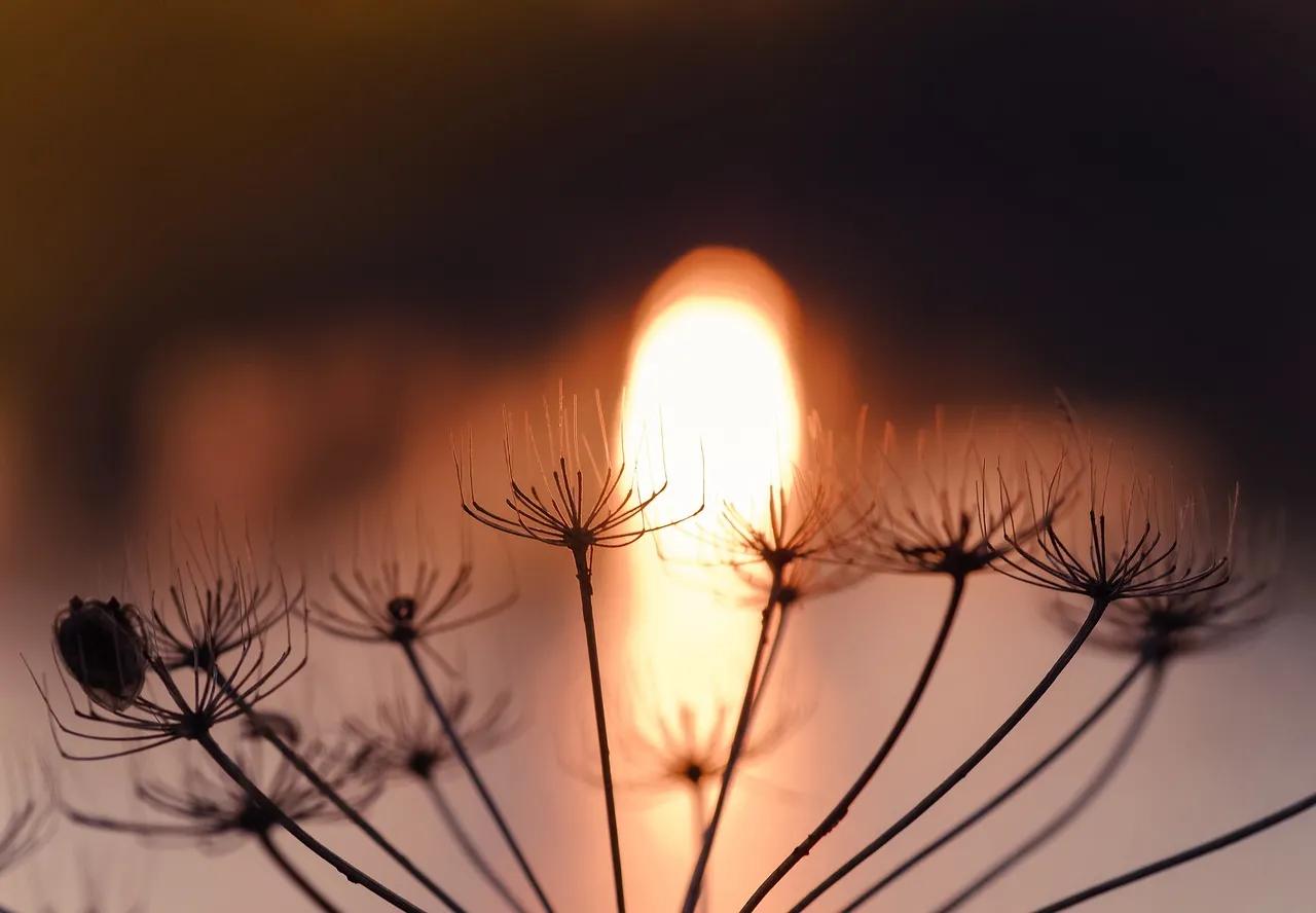 Li Shutong (Master Hongyi) 49 words of wisdom - iNEWS