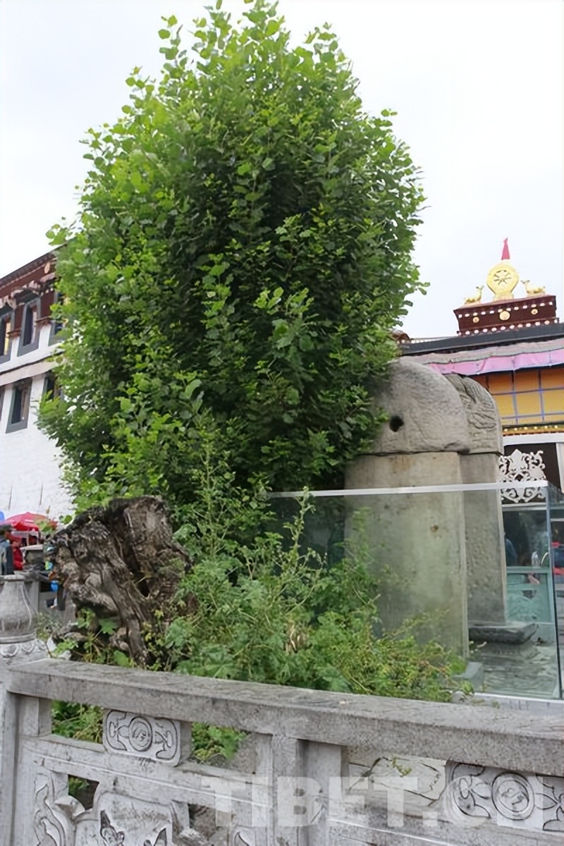 Princess Wencheng and the Potala Palace - iNEWS